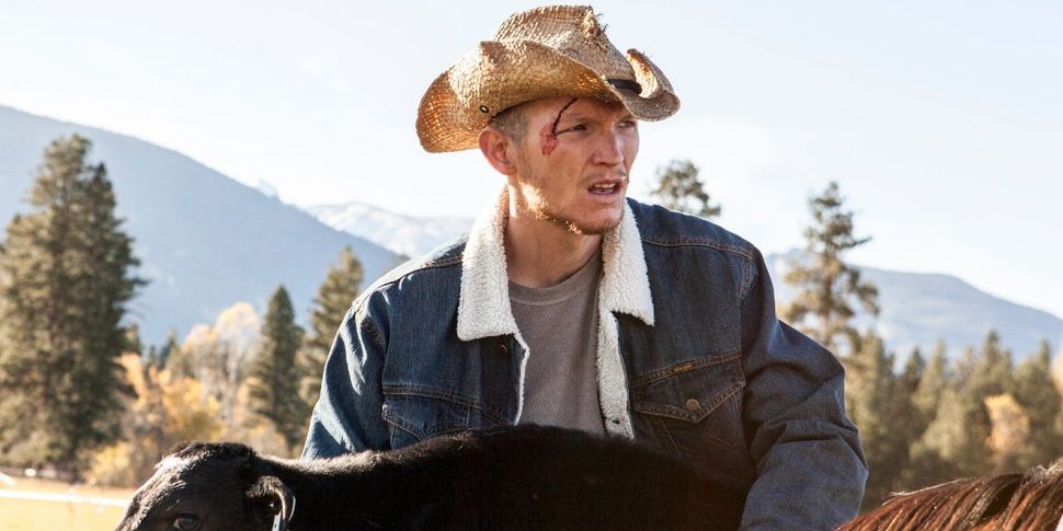 Upcoming Yellowstone TV Shows: What’s Ahead For The Series And Upcoming ...