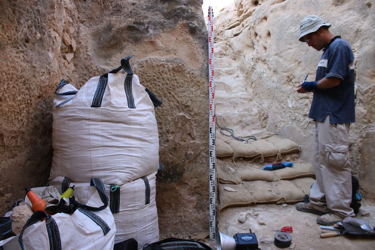 Photos: Biblical-Era Cistern and Carvings Discovered in Israel | Live ...