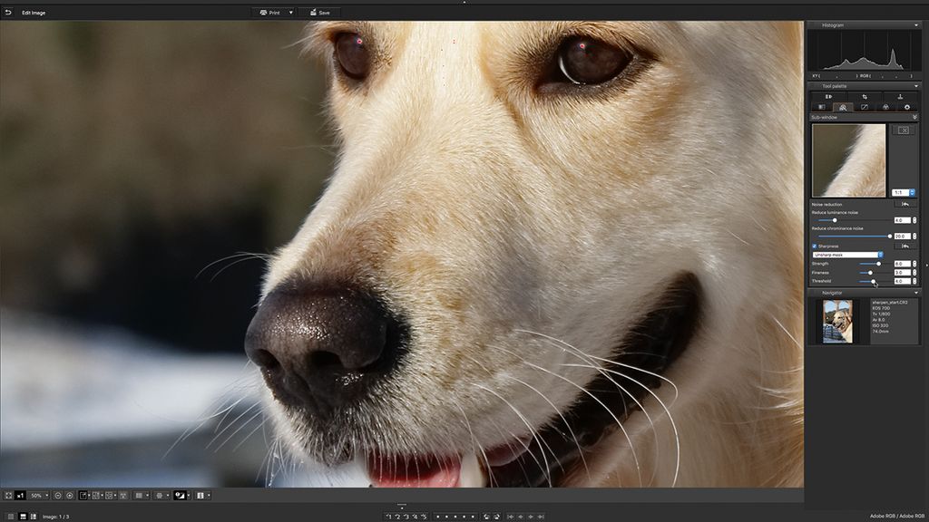 How to use Canon Digital Photo Professional – Canon DPP part 10 ...