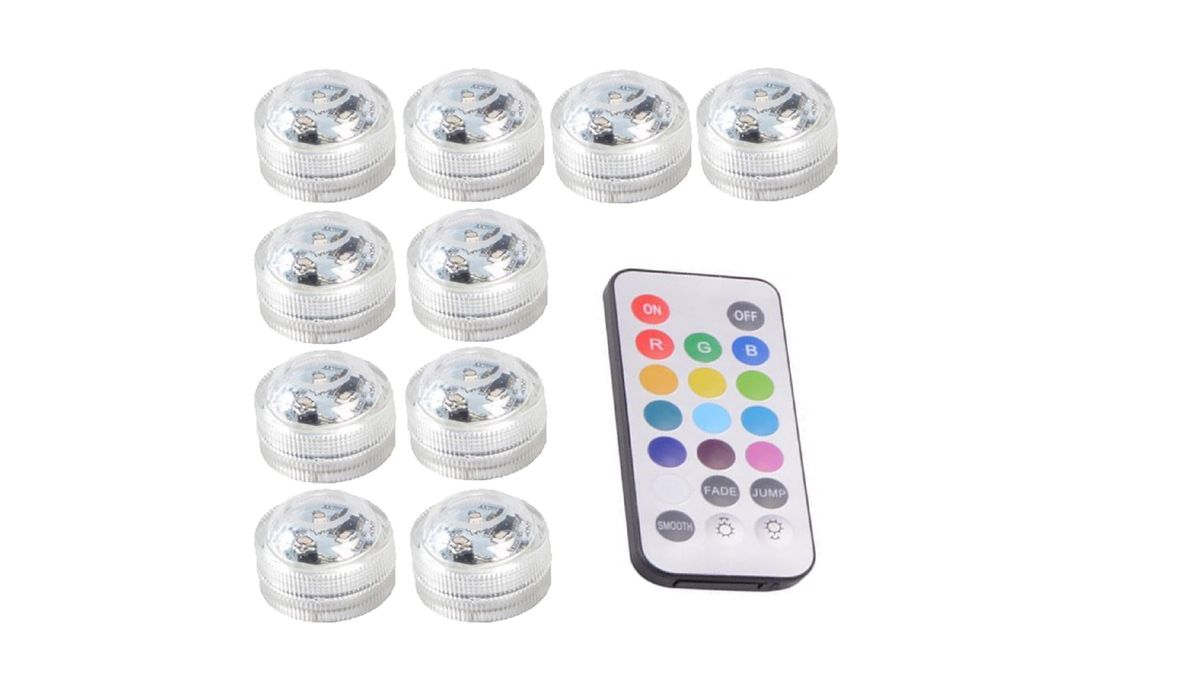 Best fish tank accessories: For an eye-catching display | PetsRadar