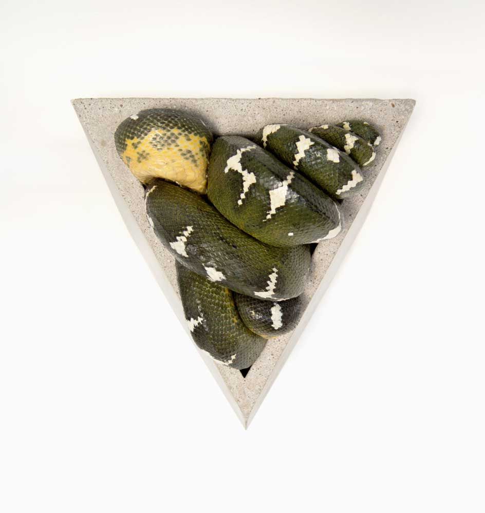 Polly Morgan on taxidermy snakes and social media trickery | Wallpaper