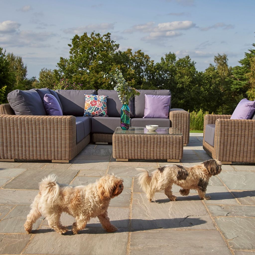 Dog friendly garden ideas to make your space safe and fun | Ideal Home