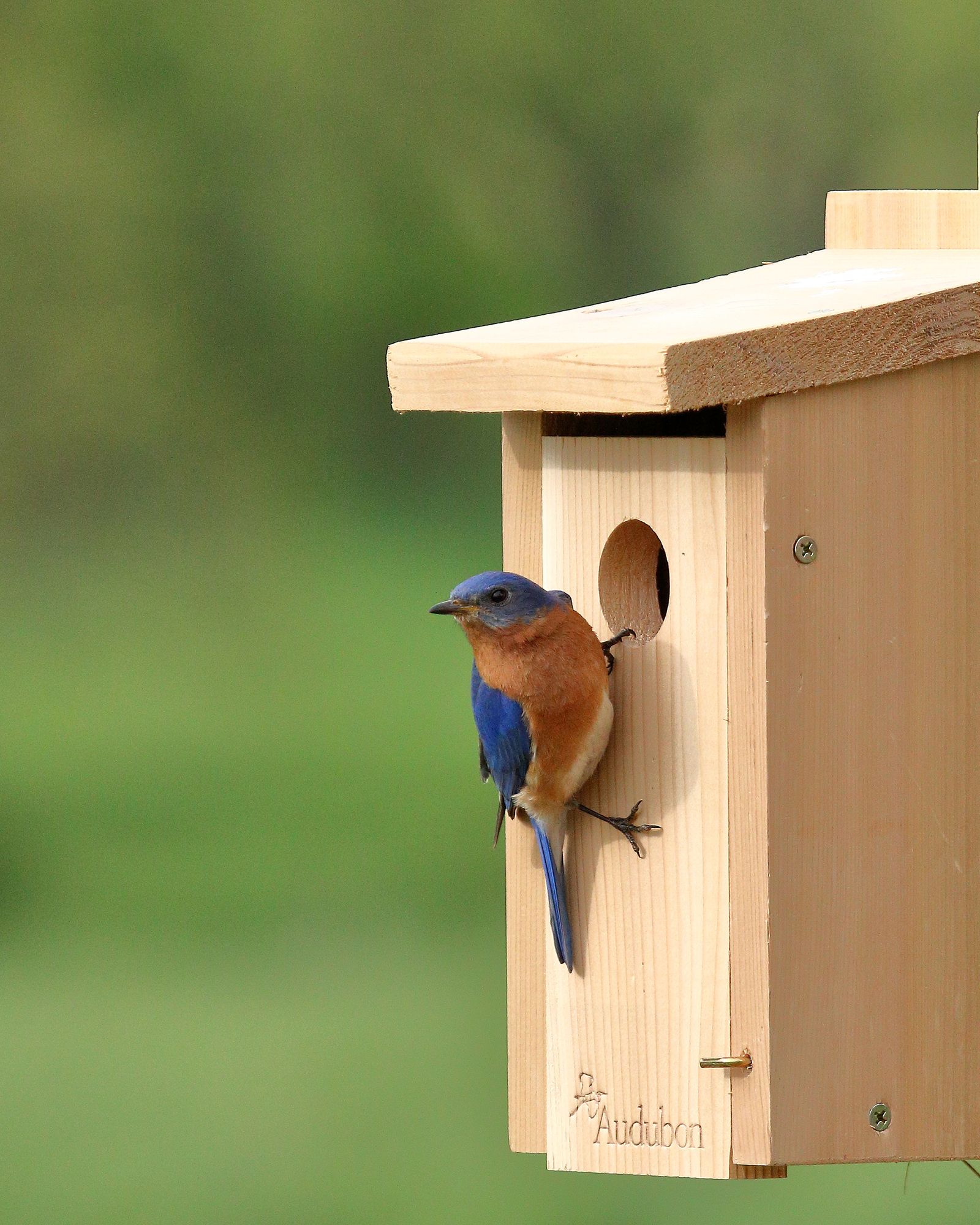 Bird house ideas: 10 bird houses for your feathered friends | Homes and ...