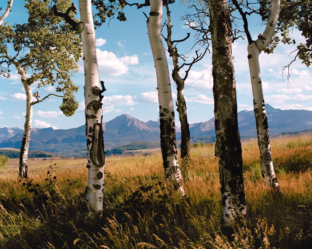 Caroline Tompkins and American photography collective friends | Wallpaper*
