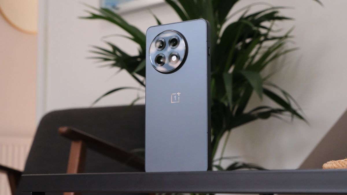 OnePlus 13R review: a gorgeous phone but average cameras | Digital ...