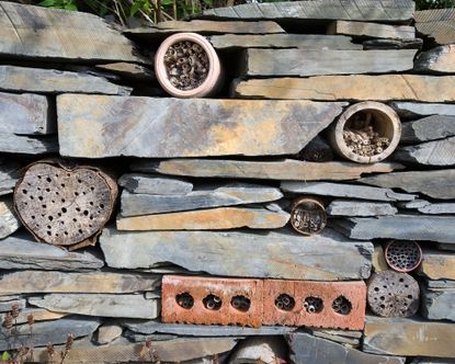 Bug hotel ideas: 15 ways to give insects the 5* treatment | Gardeningetc