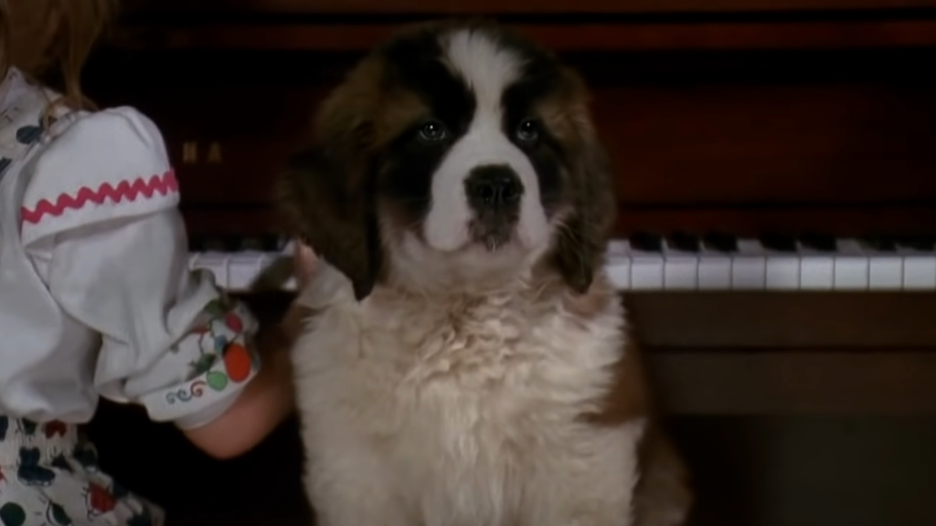 32 Movie Dogs We Want To Adopt (And Cute Pictures Of Them) | Cinemablend