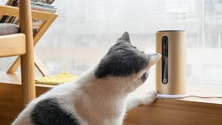 The best pet camera in 2021 | Digital Camera World