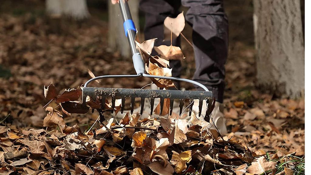 What are the different types of rakes and what do they do? | Tom's Guide