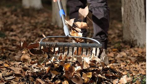 What are the different types of rakes and what do they do? | Tom's Guide