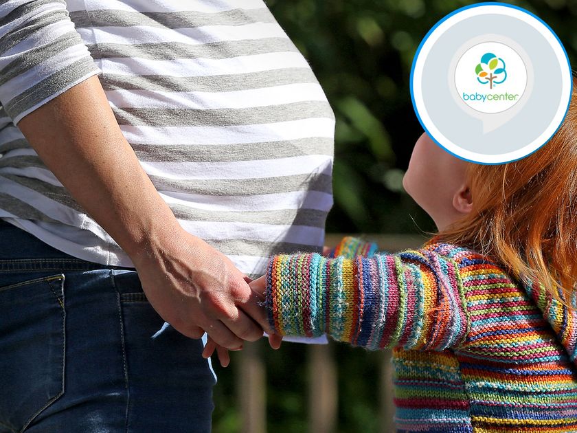 17 Best Alexa Skills for Health and Fitness | Tom's Guide