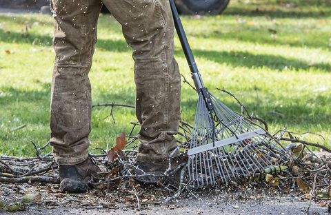 I used four different tools to get rid of leaves — here's what worked ...