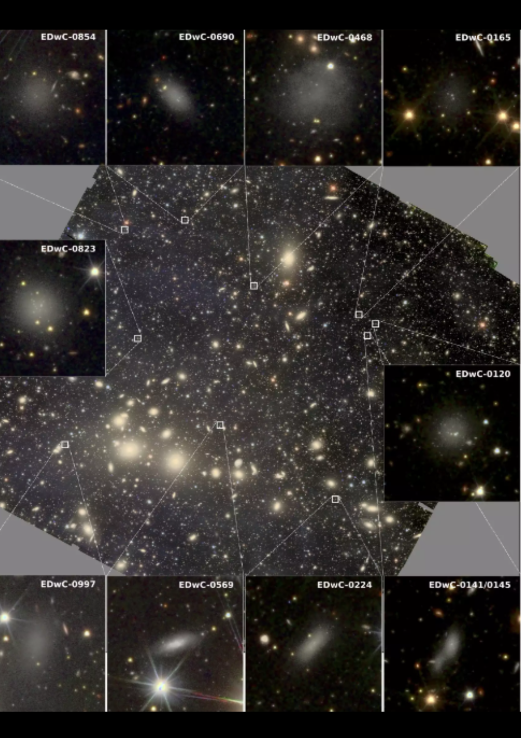 Euclid space telescope finds 1.5 trillion orphan stars wandering the ...