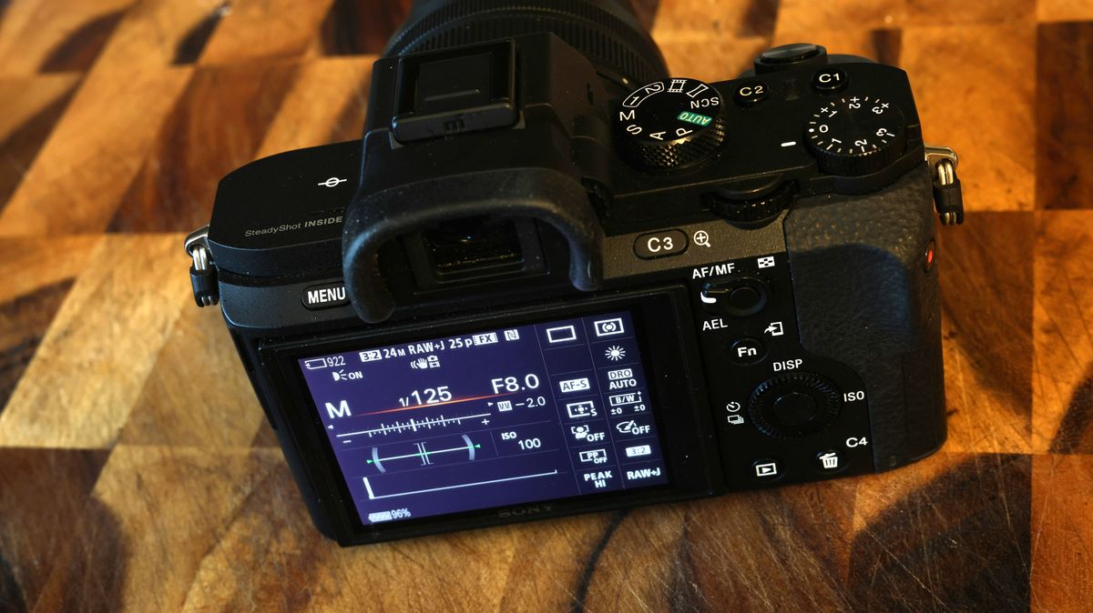 I think camera autoexposure is sometimes too clever for its own good ...