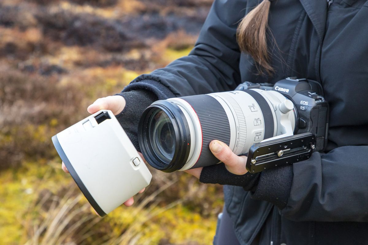 10 pro photo tips for amazing bird portraits with Canon cameras ...