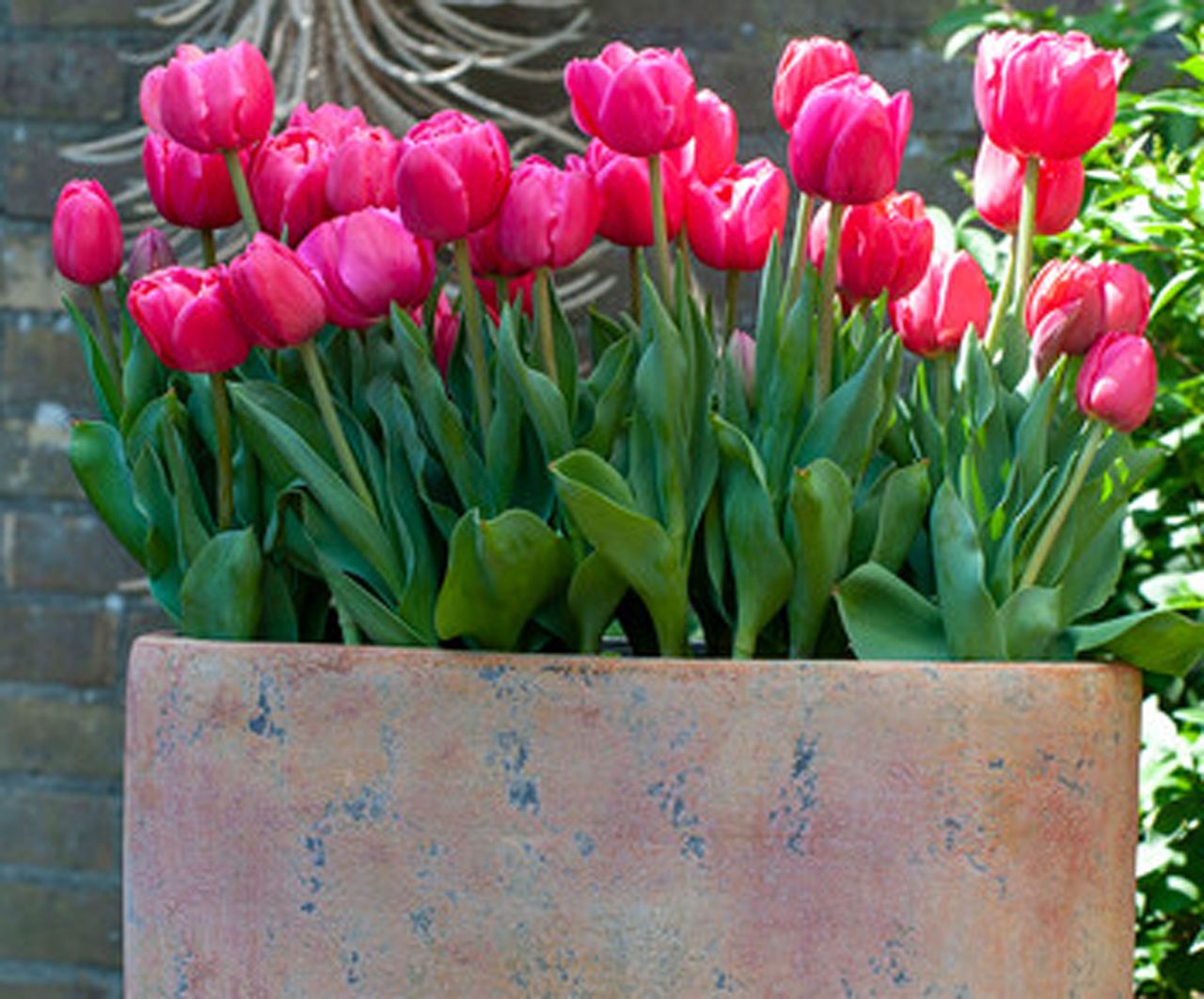 Spring window box ideas: 8 looks for a front yard glow-up | Homes and ...