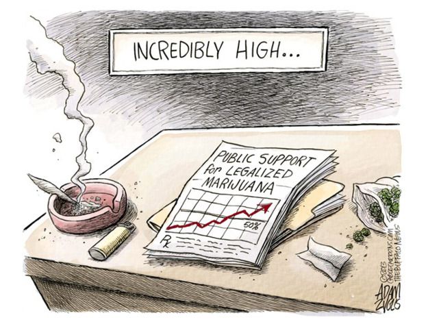 Editorial cartoon marijuana | The Week