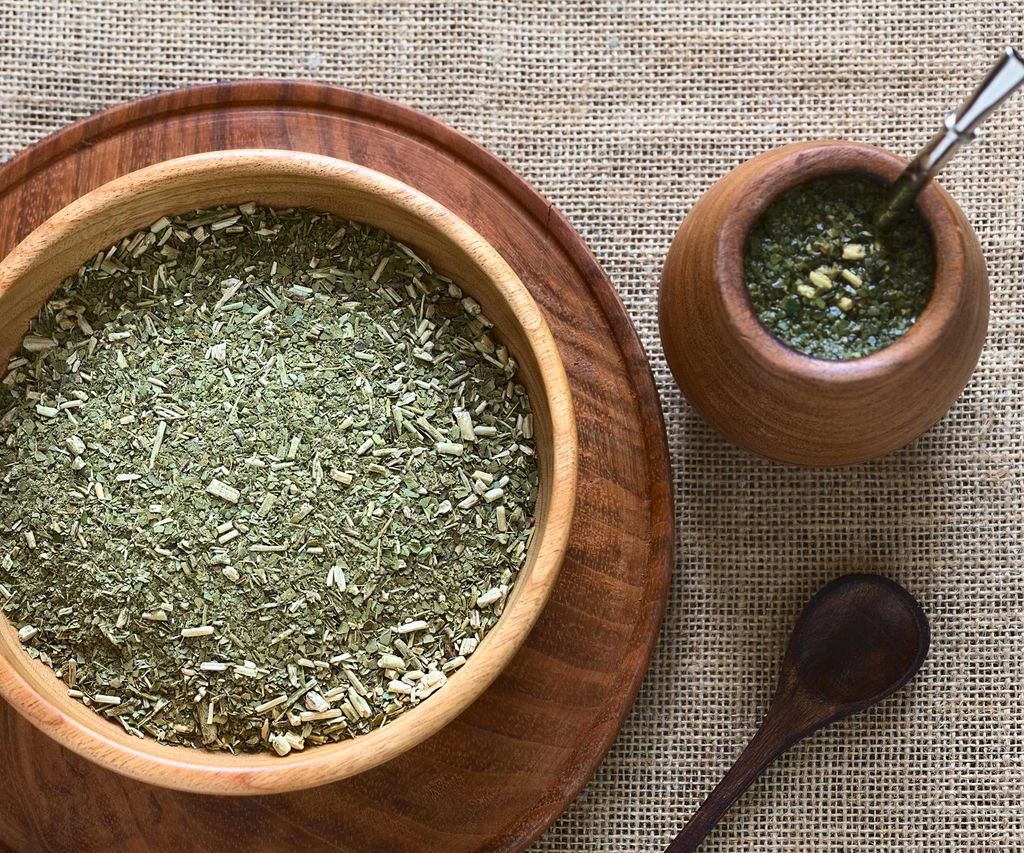 How to grow and care for yerba mate: professional advice | Homes and ...