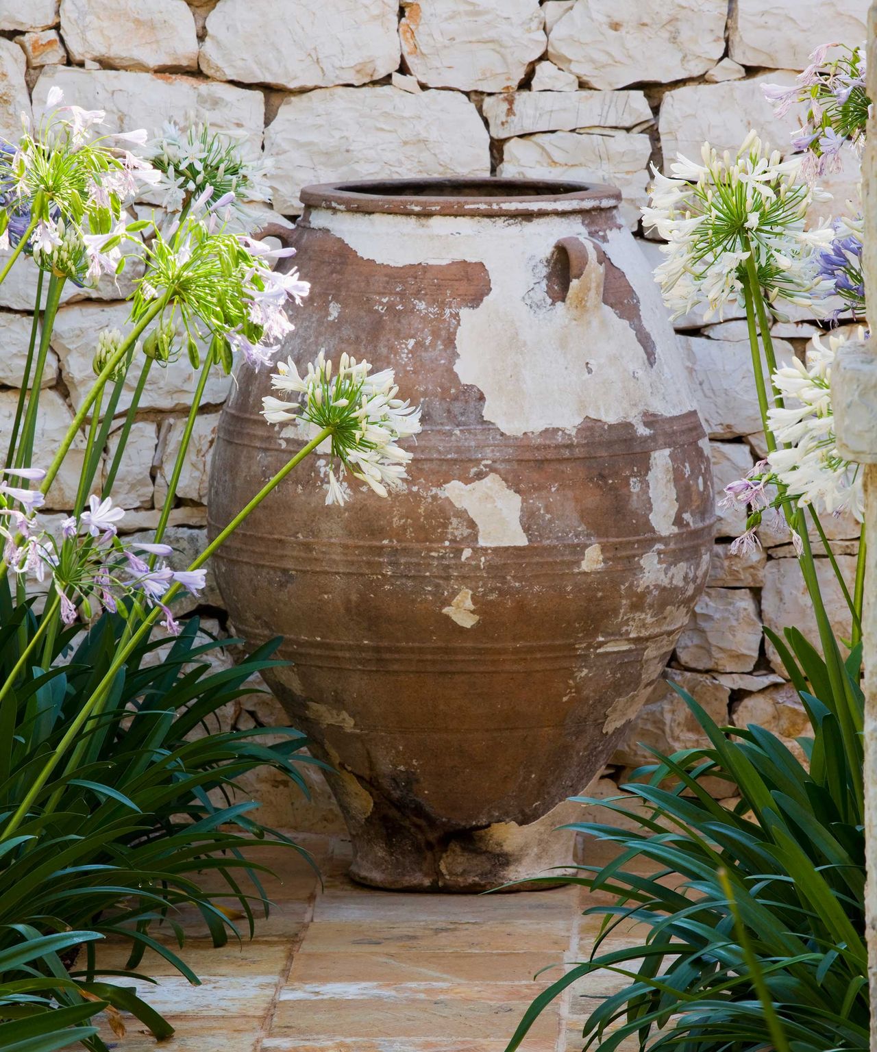 Greek garden ideas: 14 layout, planting and styling tips to create a ...