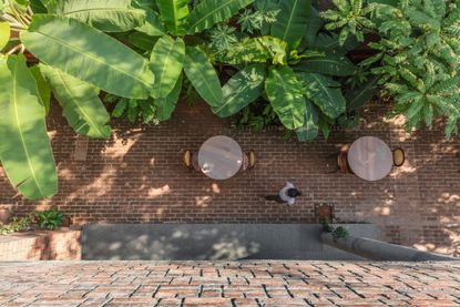 Telugu Medium Kitchen in Southern India is a labour of love | Wallpaper*