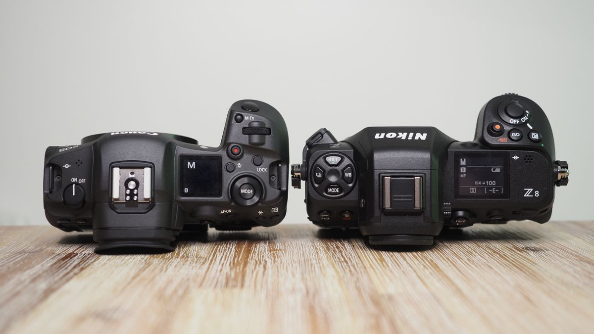 Nikon Z8 vs Canon EOS R5 | Digital Camera World