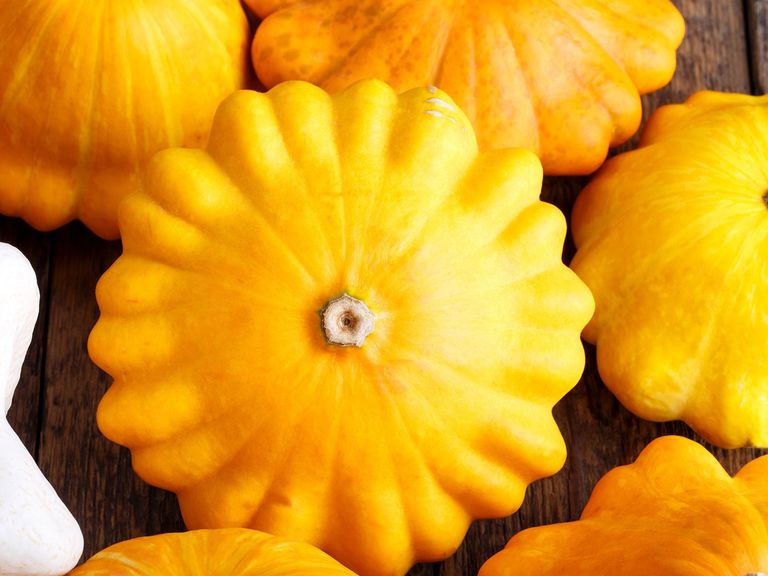 Sweetest Squash Varieties: 6 Of The Best For Every Edible Garden ...