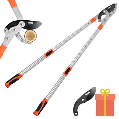 The essential pruning tools all gardeners need | Homes and Gardens