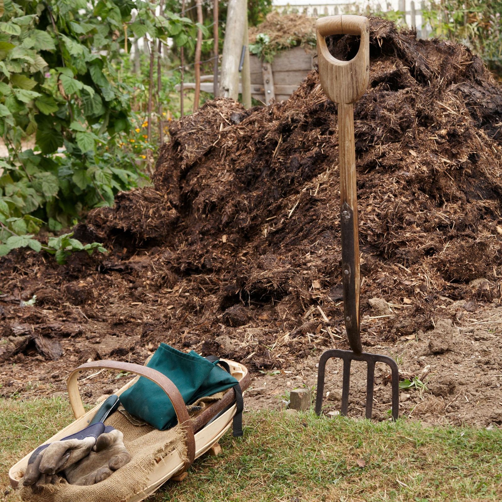 How to improve clay soil for gardening according to experts | Ideal Home