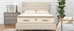 We tested the PlushBeds Botanical Bliss Organic Latex mattress — and it ...