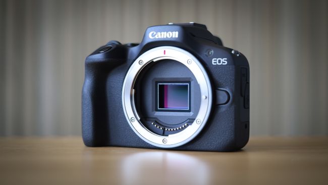 What is an APS-C camera? Why this camera spec is a sweet spot for price ...