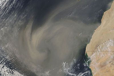 Dense Saharan Dust Travels About 5,000 Miles to Florida | Live Science