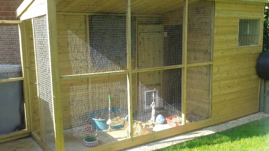 Housing rabbits outdoors: Everything you need to know | PetsRadar