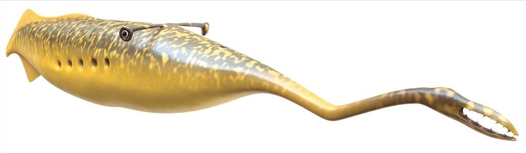 Photos: Ancient Tully Monster's Identity Revealed | Live Science