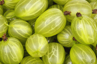 The best recipes using gooseberries | Country Life