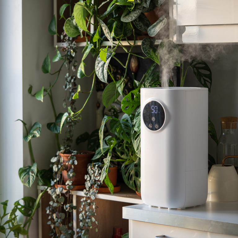 What does a humidifier do? And how to work out if you need one | Ideal Home