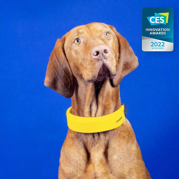 Is this the 'Apple Watch' for dogs? | PetsRadar