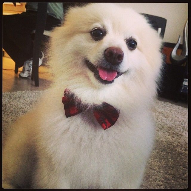 Brian Kibler: “Card draw in general in Hearthstone is too good” | PC Gamer