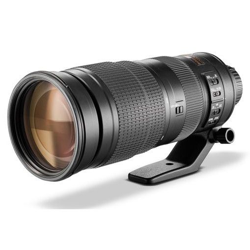 The best lenses for bird photography in 2024 | Digital Camera World