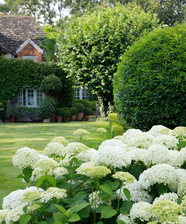 White garden ideas: 10 elegant designs full of shape and texture ...