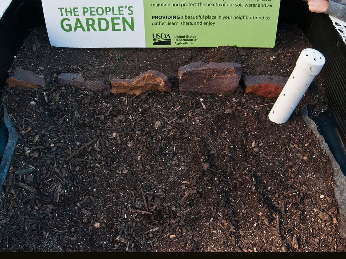 What Are Worm Tubes: Tips On Making A Worm Tube For Compost | Gardening ...