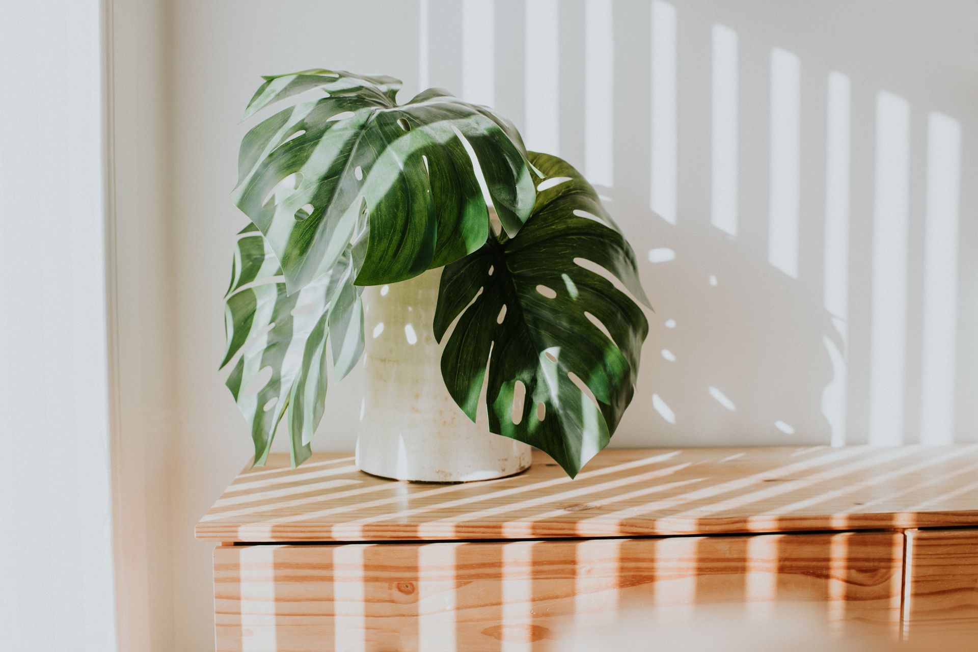 How to clean and polish wood – shine up and protect furniture naturally ...