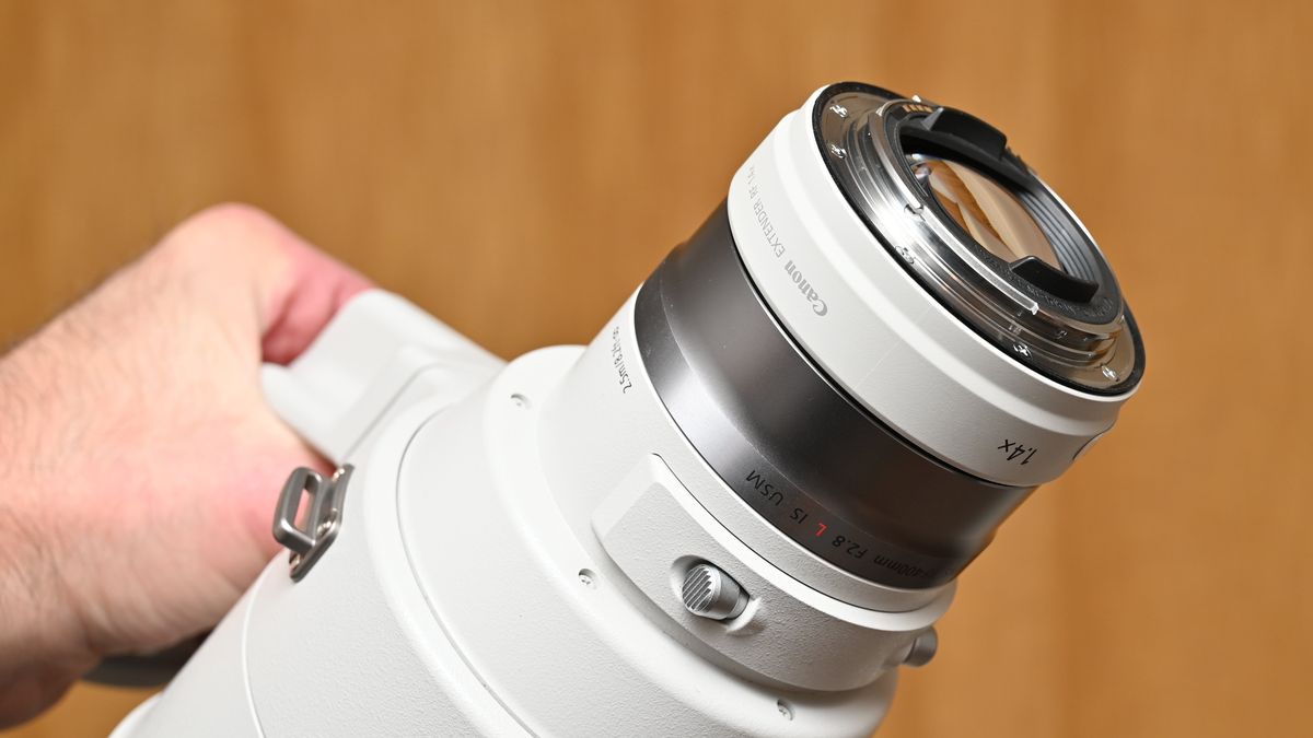 Canon Extender RF 1.4x review: a revamped teleconverter for the EOS R ...