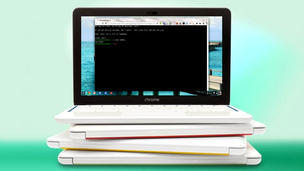 How To Install Linux On A Chromebook TechRadar