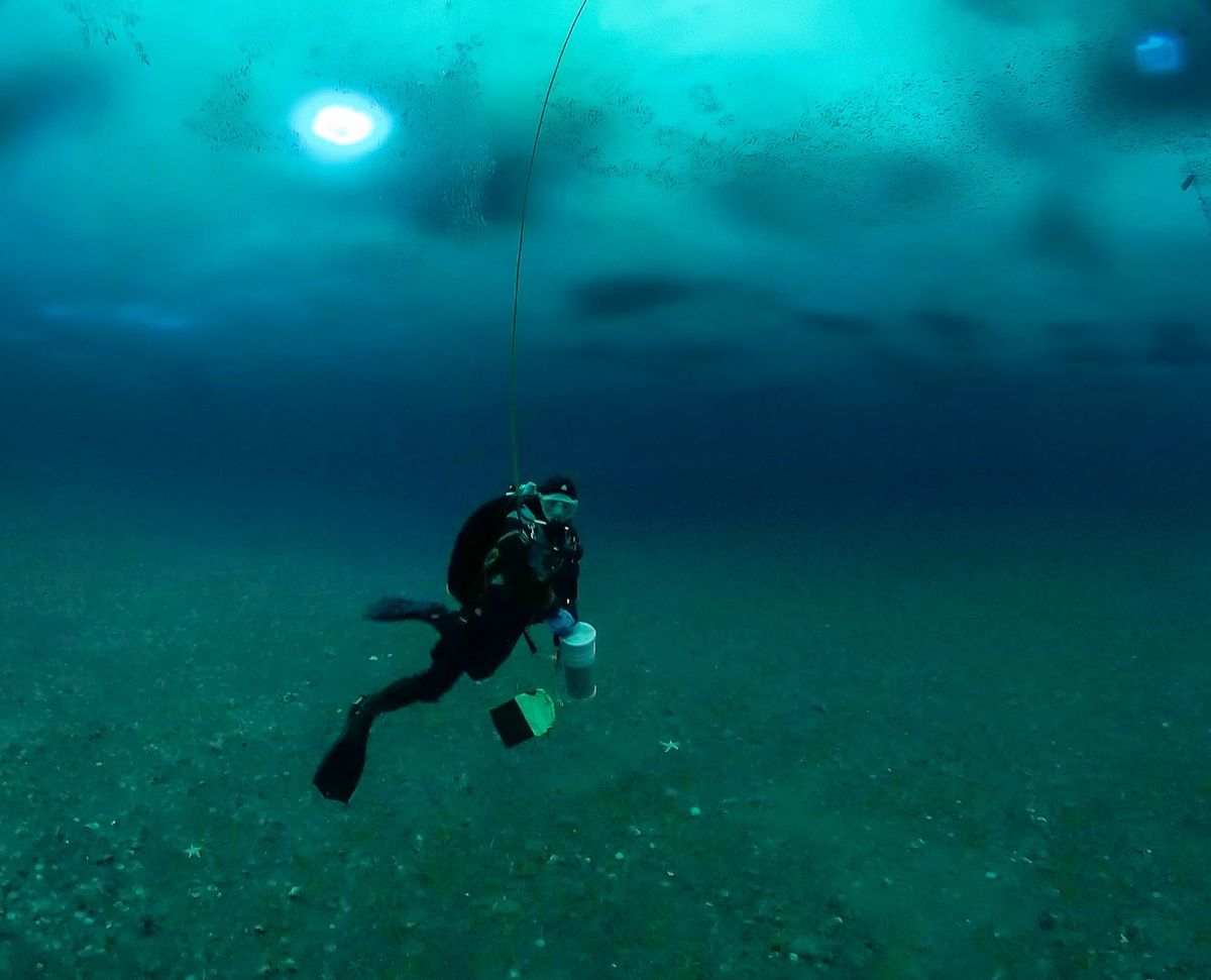 Photos: Diving Beneath Antarctica's Ross Ice Shelf: Page 2 | Live Science