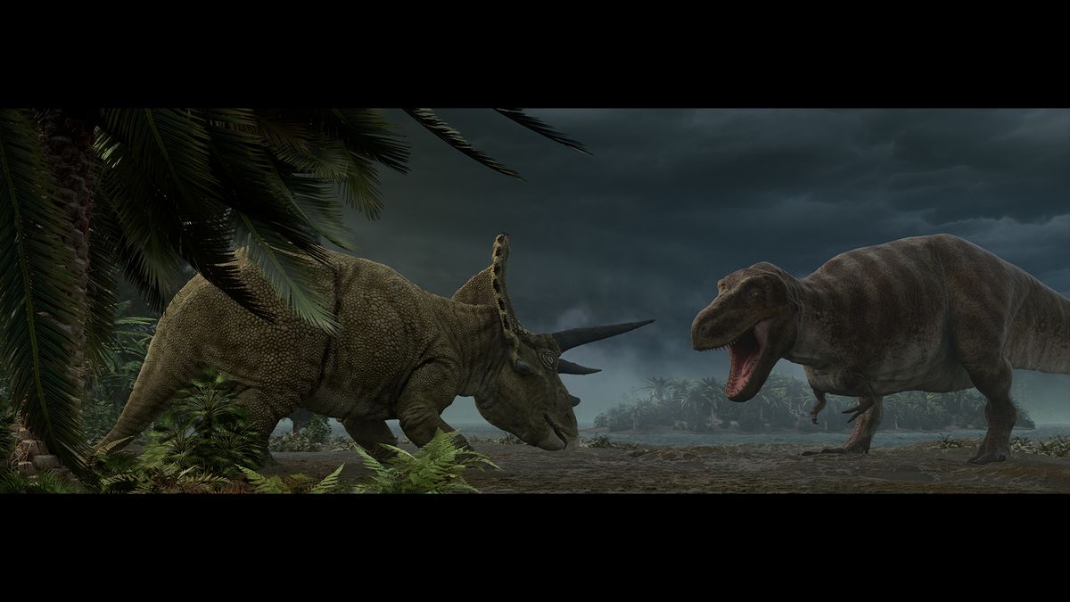 Tyrannosaurus rex: Facts and photos of the dinosaur king | Live Science