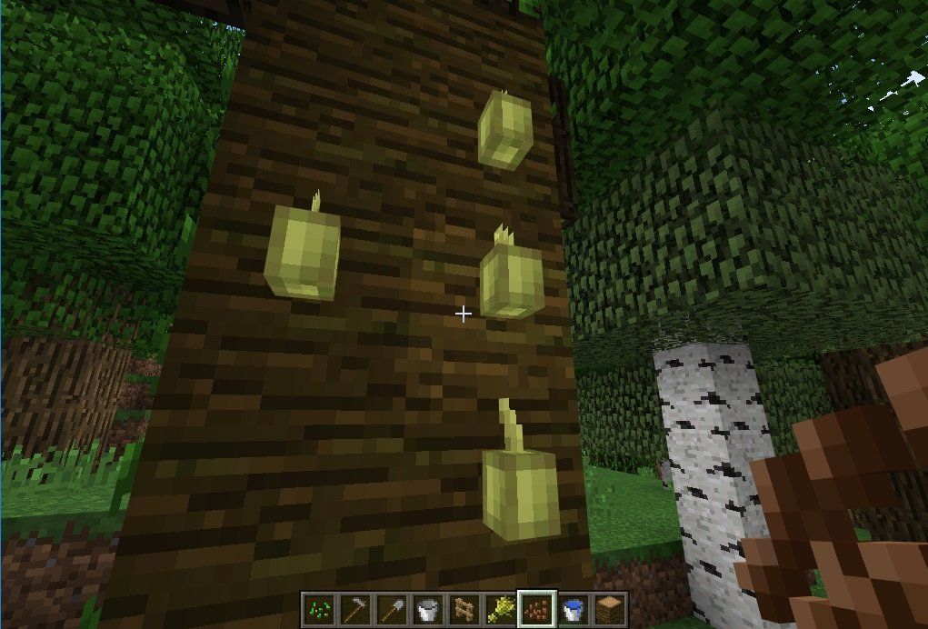 How to create a sustainable farm in Minecraft: Windows 10 and Xbox One ...