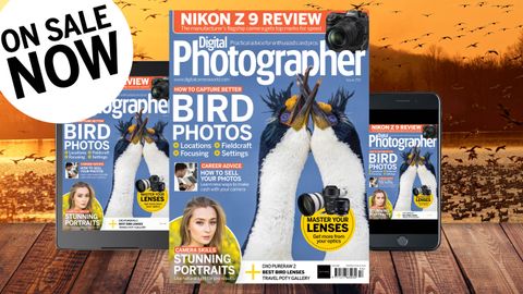 Get a FREE landscape photography e-book with Digital Photographer ...