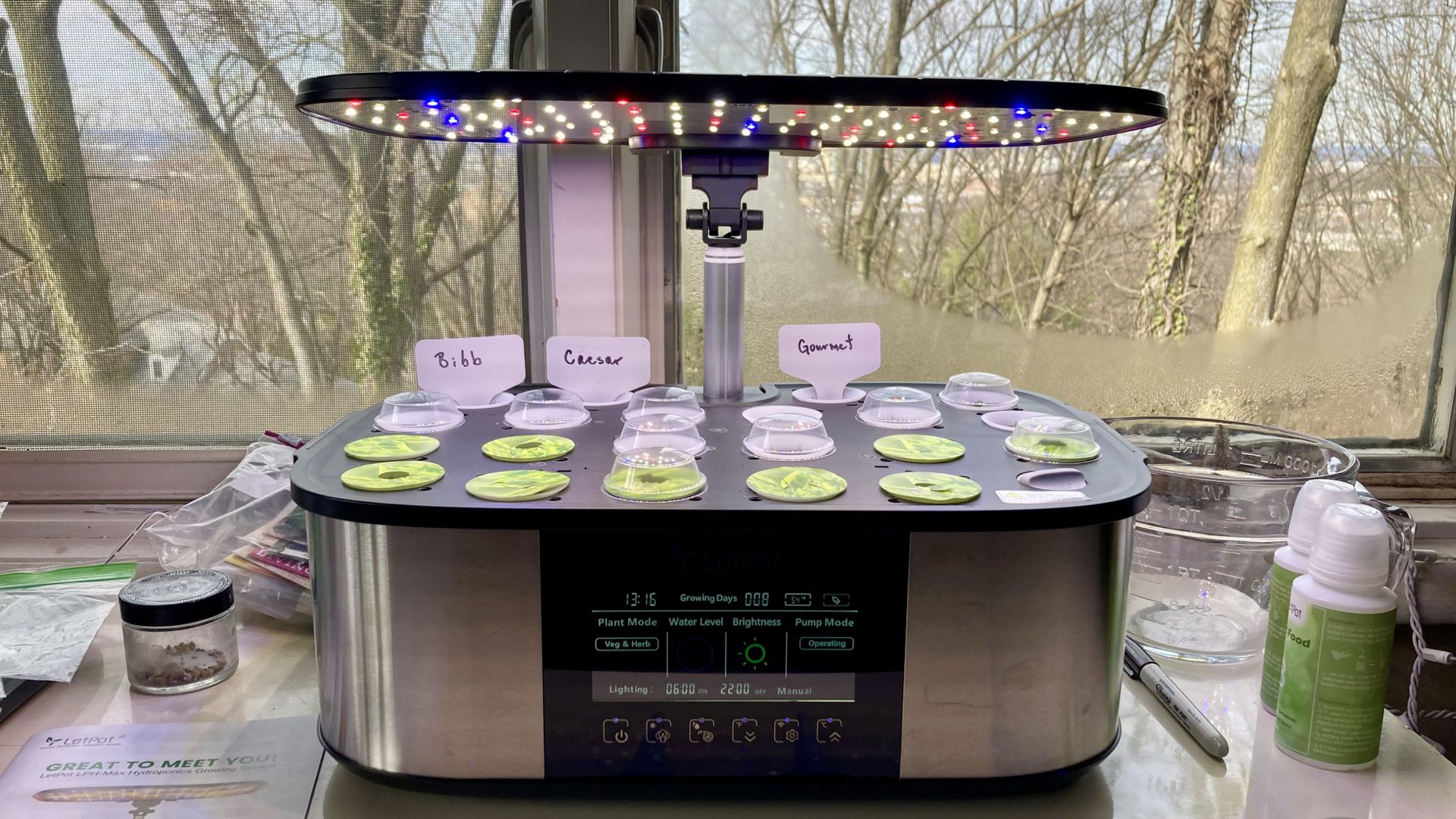 LetPot LPH-Max Review: A Hydroponics Newbie's Honest Take | Gardening ...