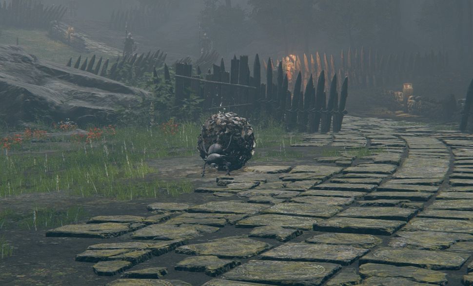 Elden Ring: Teardrop Scarabs explained | Windows Central