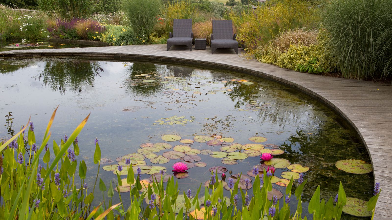 How to build a pond: a step by step expert guide | Homes and Gardens